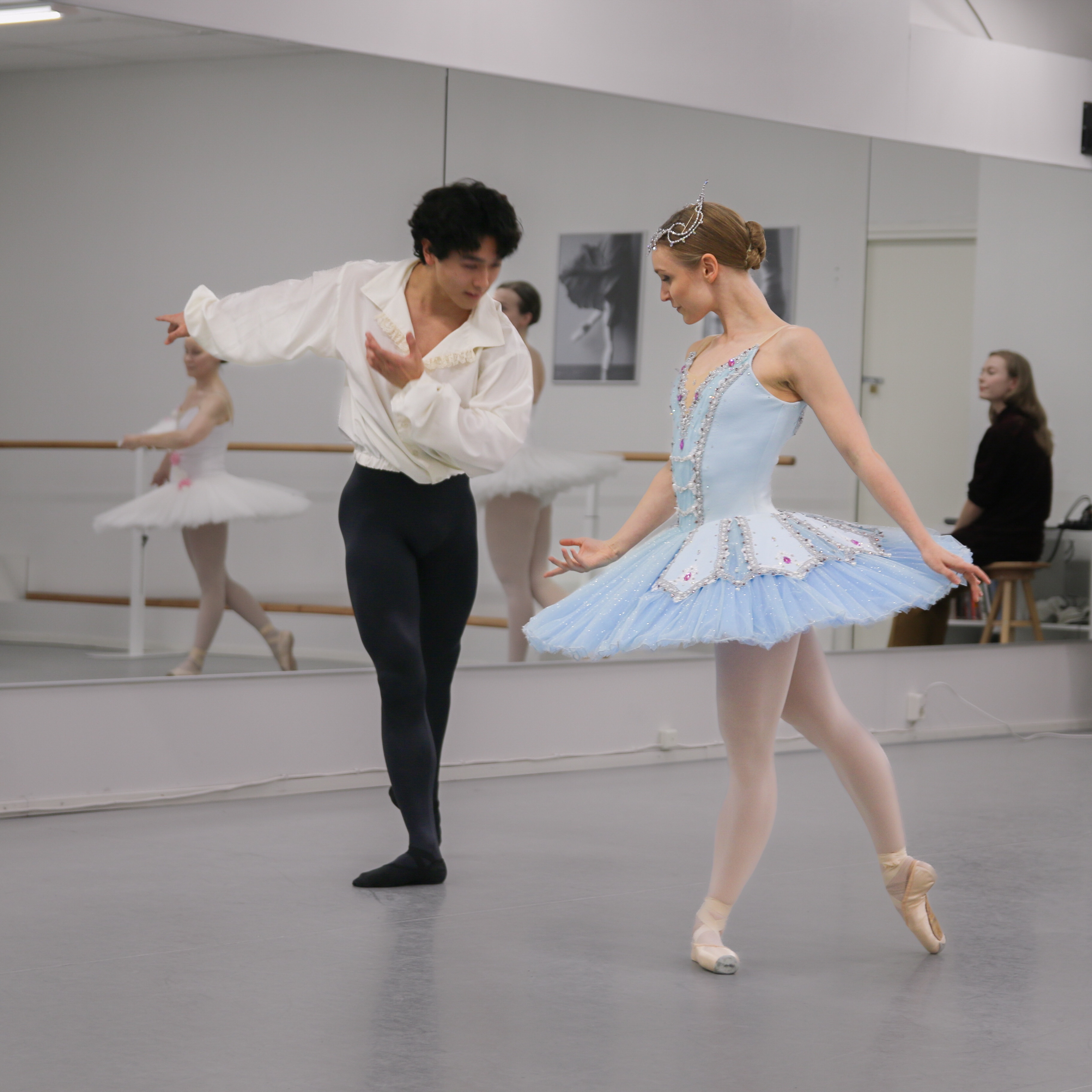 013 Dulcinea – Tutu Studio Borealis